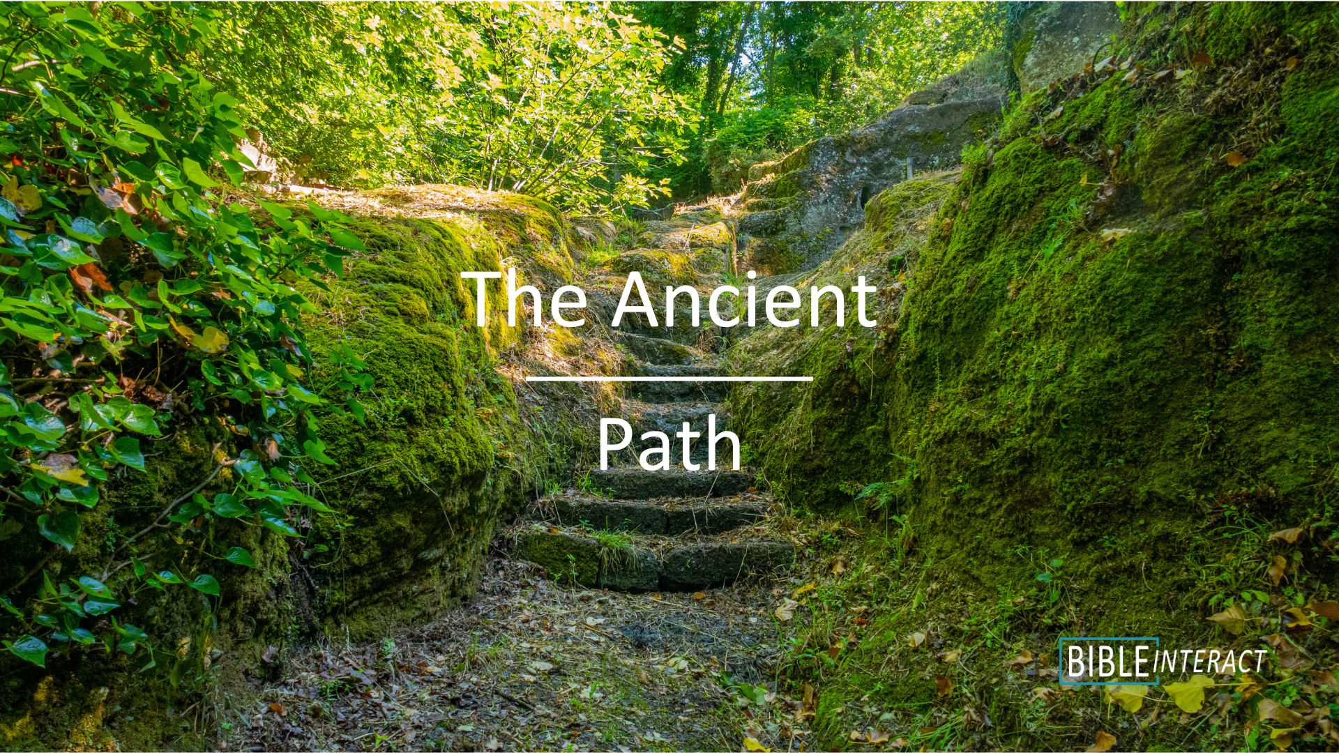📄 The Ancient Path - BibleInteract